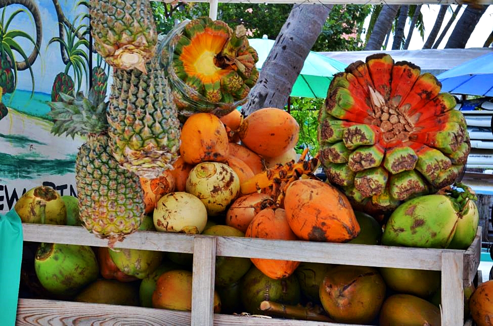 Healthy diet in Maldives – Jonnie World Walker